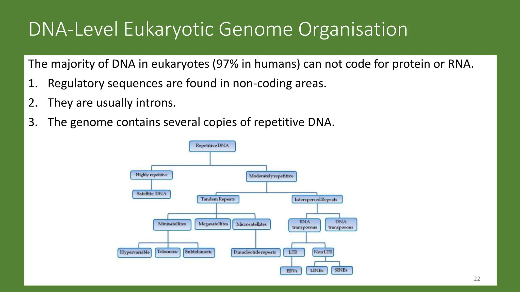 Genome organization in virus,bacteria and eukaryotes.pptx