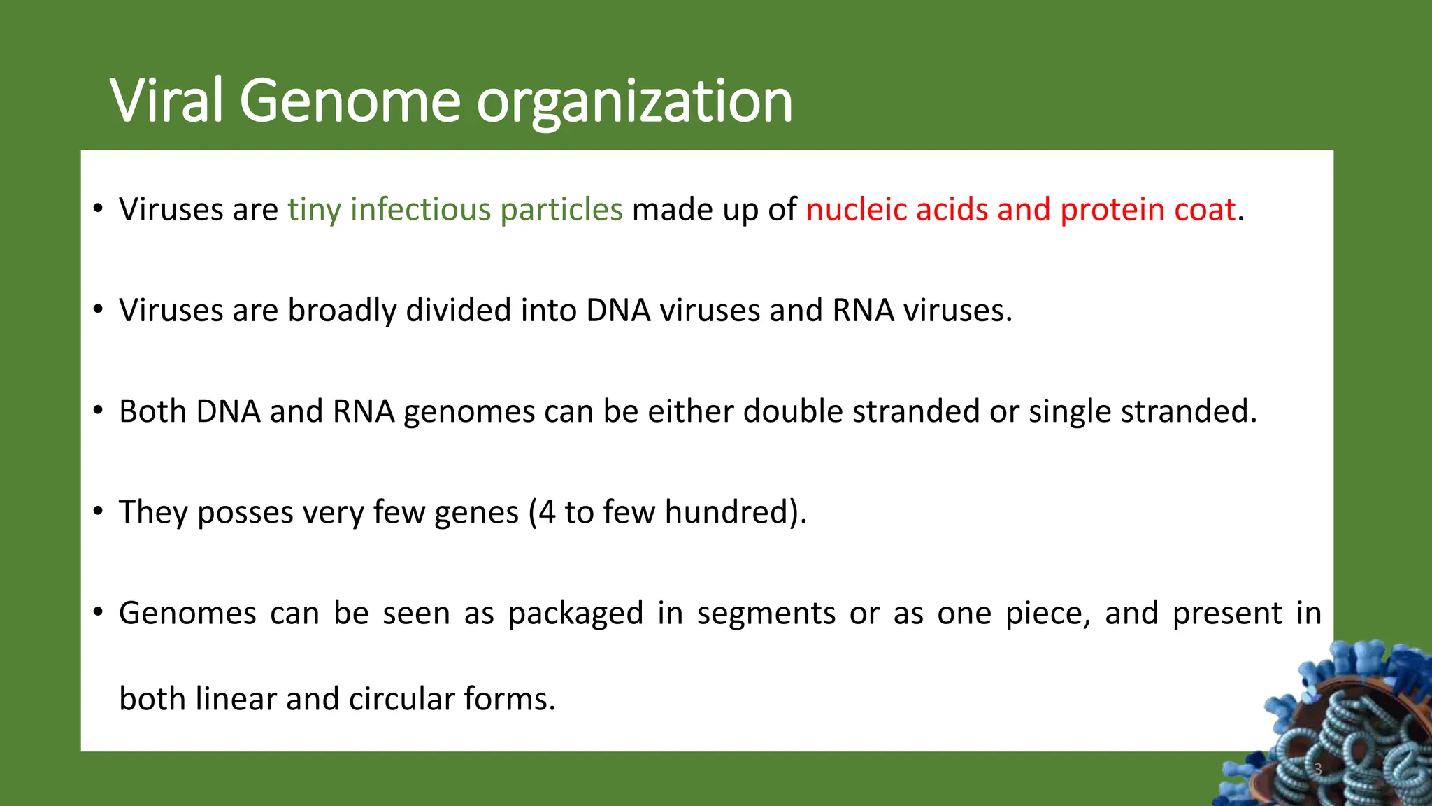 Genome organization in virus,bacteria and eukaryotes.pptx