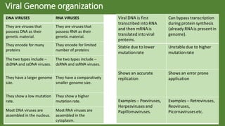 Genome organization in virus,bacteria and eukaryotes.pptx
