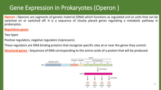 Genome organization in virus,bacteria and eukaryotes.pptx