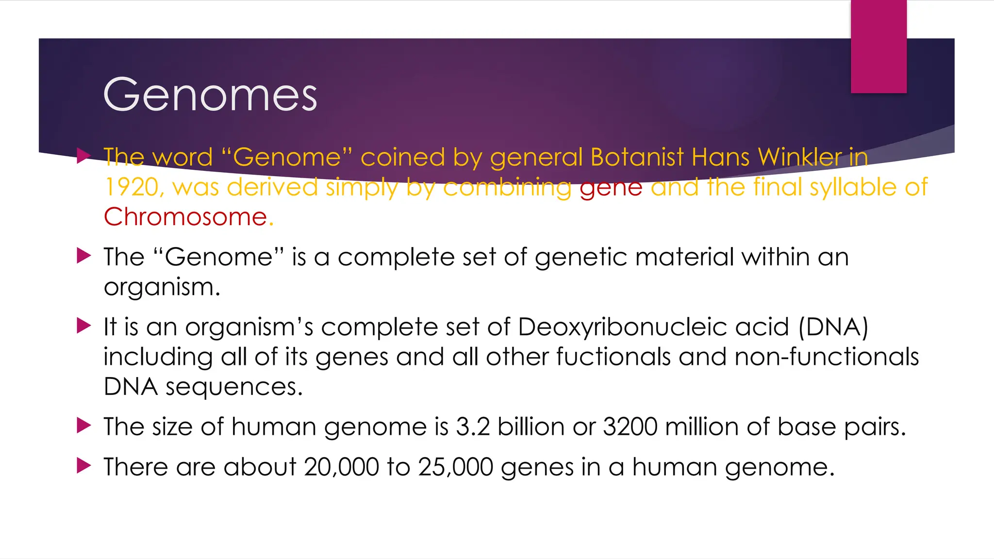Genome Organization Presentation ppt.pptx
