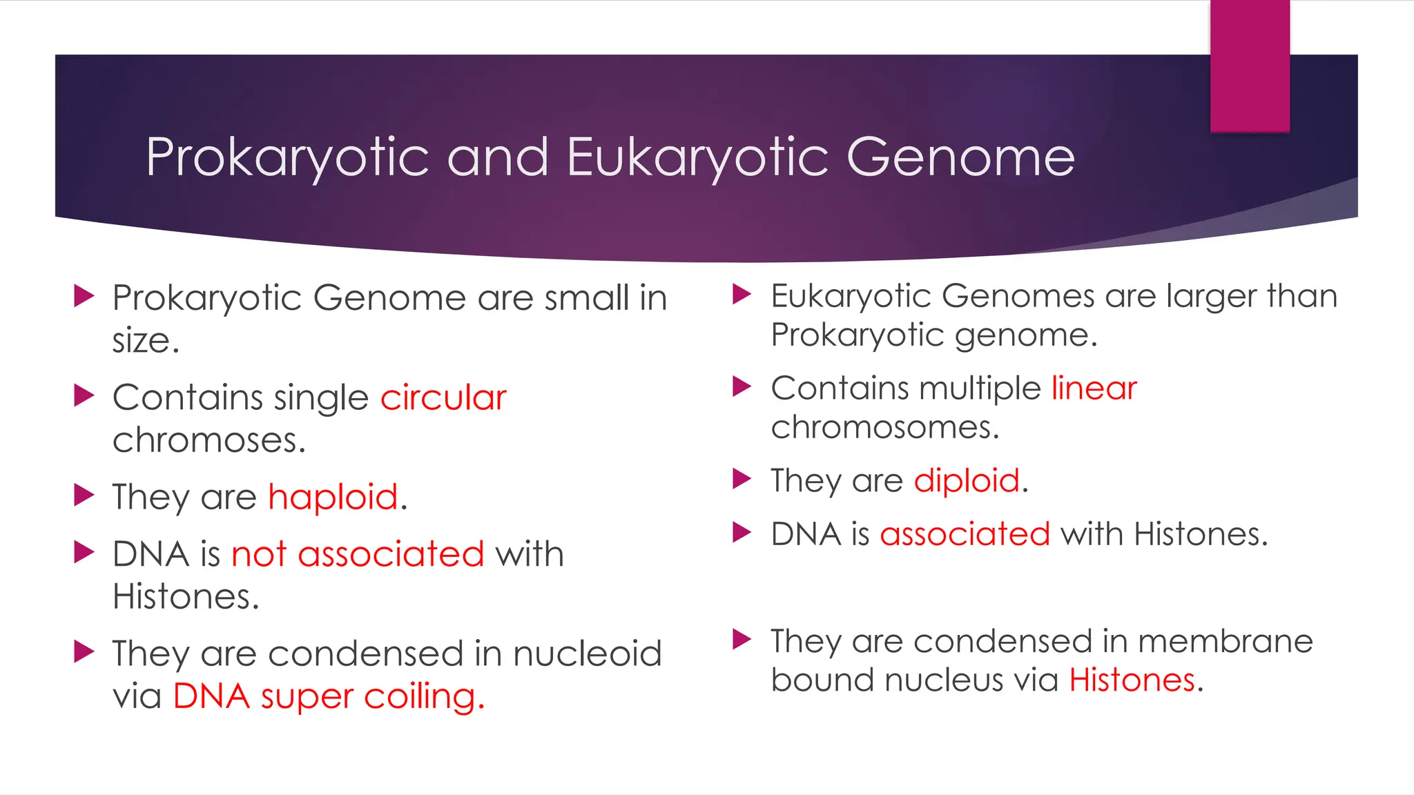 Genome Organization Presentation ppt.pptx
