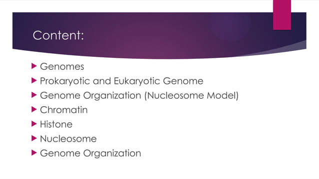 Genome Organization Presentation ppt.pptx