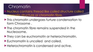 Genome Organization Presentation ppt.pptx