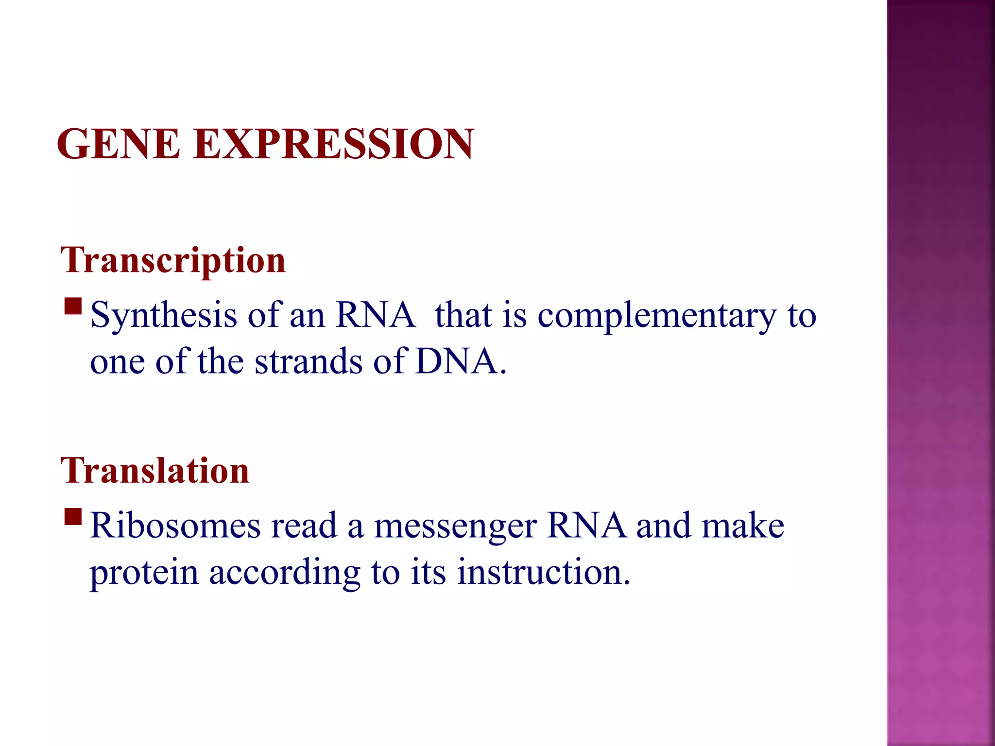 Genome organization and gene expression and its regulation | PPTX