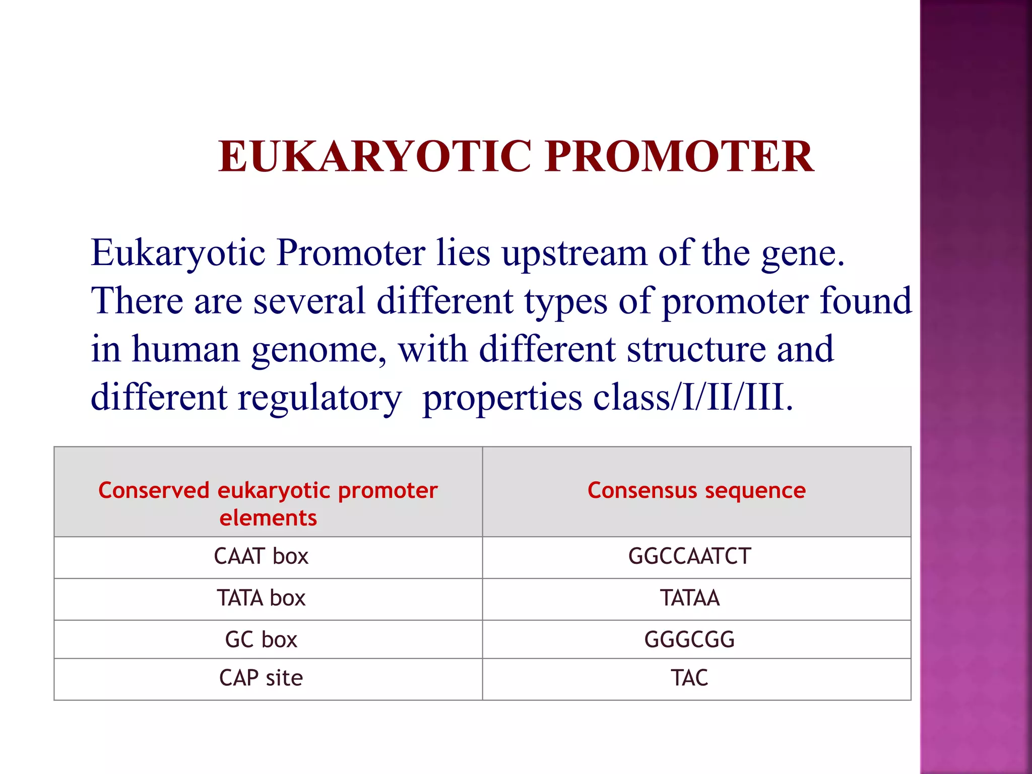 Genome organization and gene expression and its regulation | PPTX