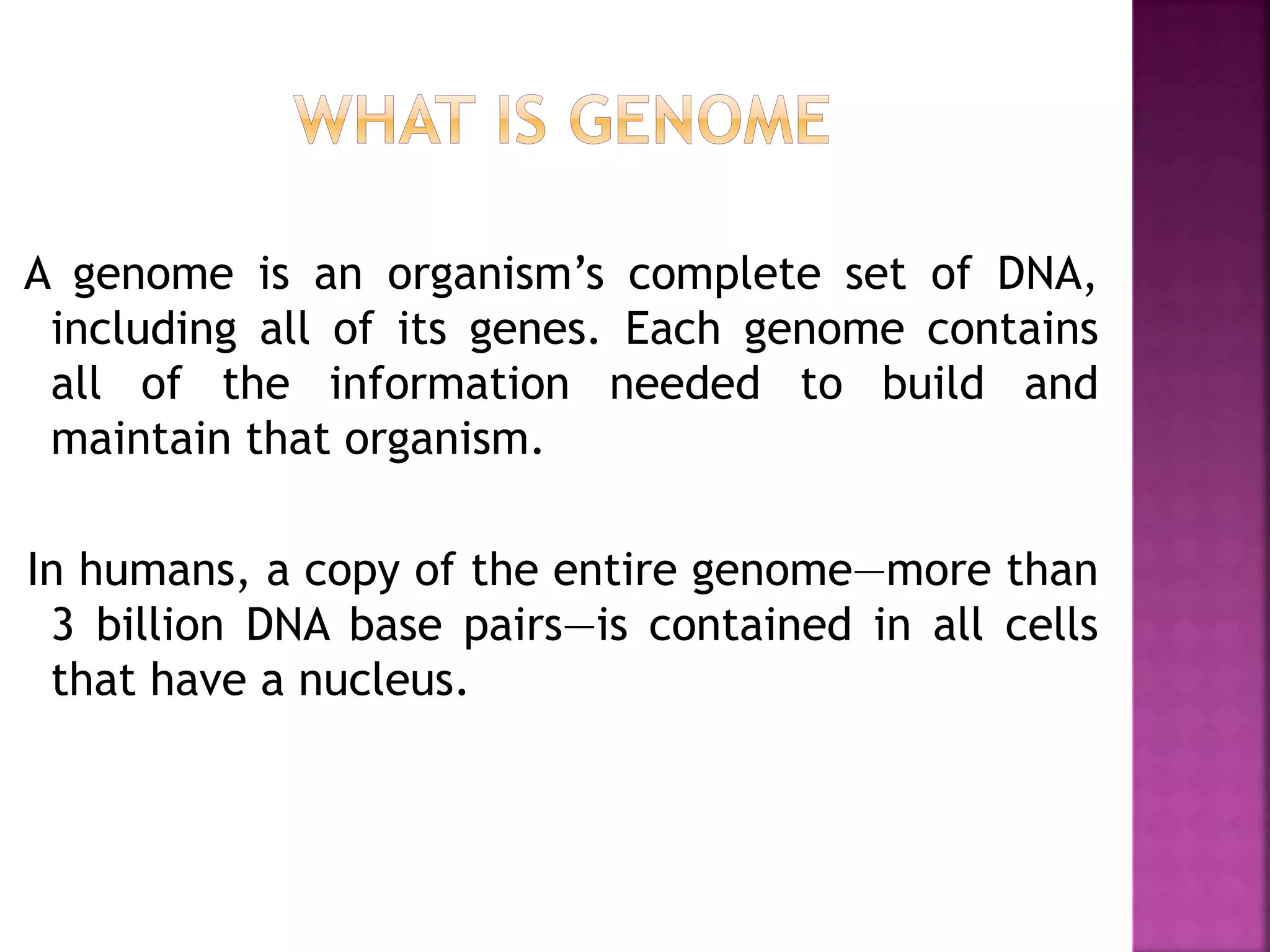 Genome organization and gene expression and its regulation | PPTX