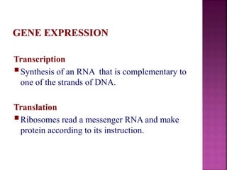 Genome organization and gene expression and its regulation | PPTX