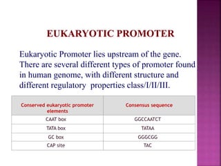 Genome organization and gene expression and its regulation | PPTX