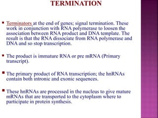 Genome organization and gene expression and its regulation | PPTX