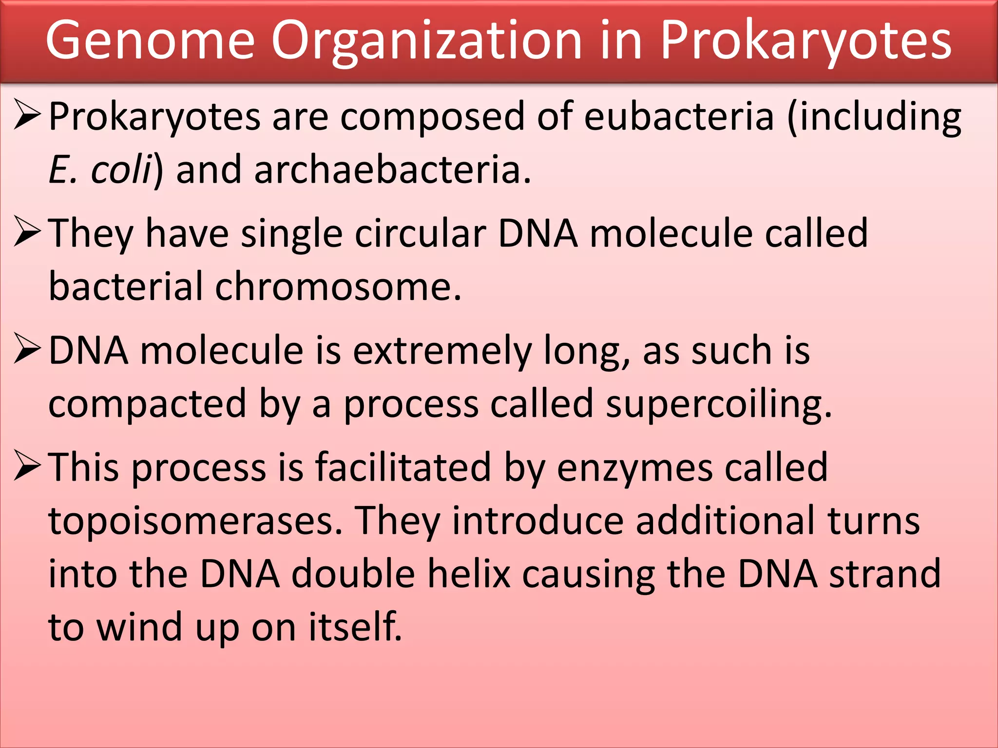Genome organization in prokaryotes | PPTX