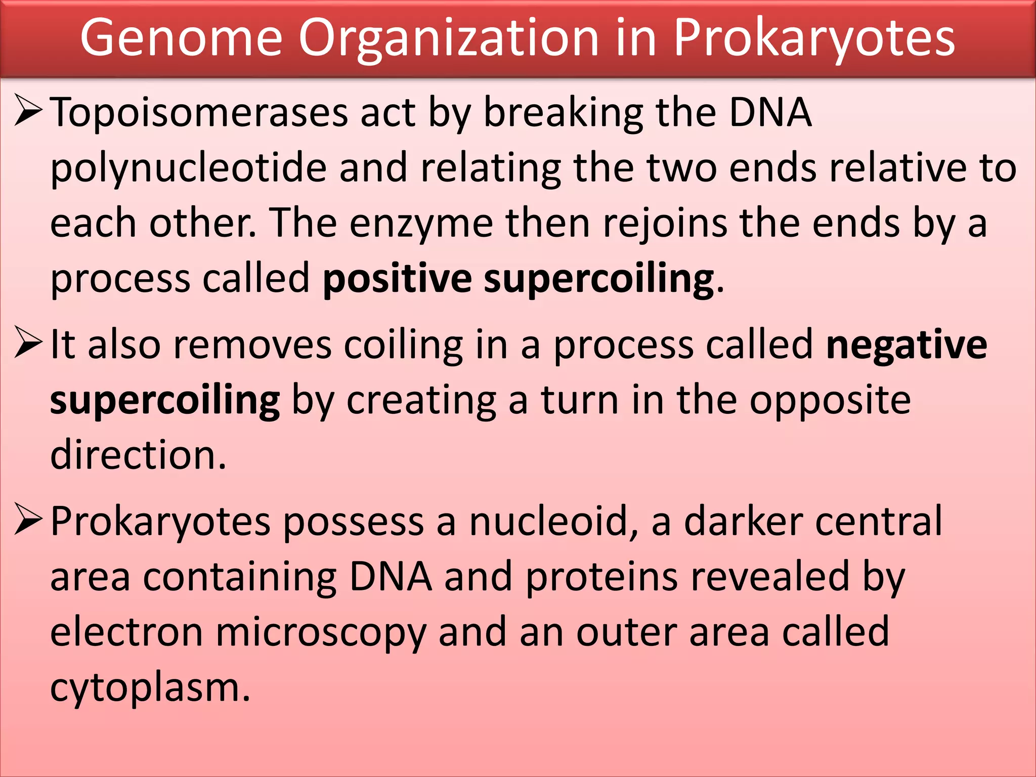 Genome organization in prokaryotes | PPTX