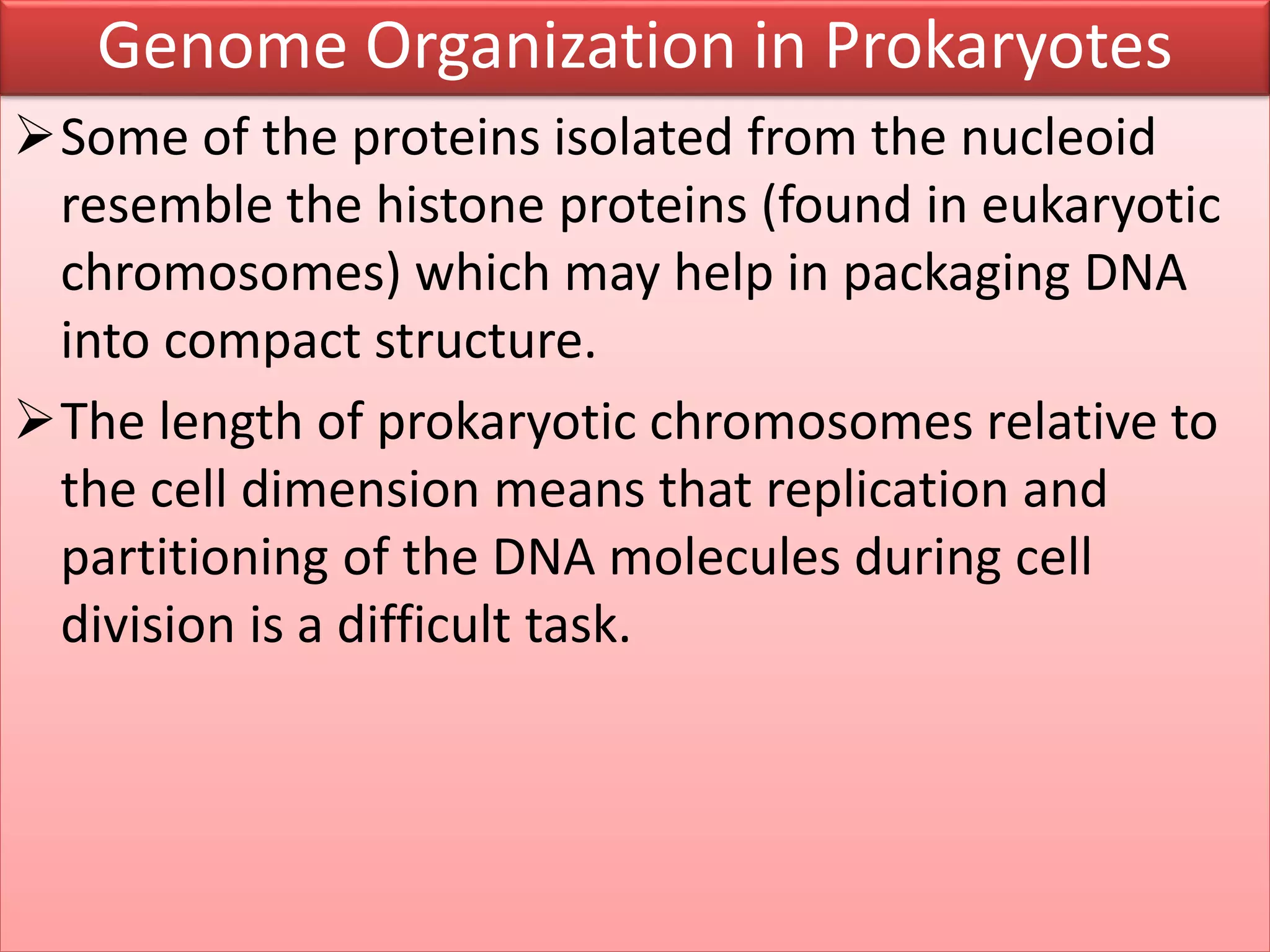 Genome organization in prokaryotes | PPTX