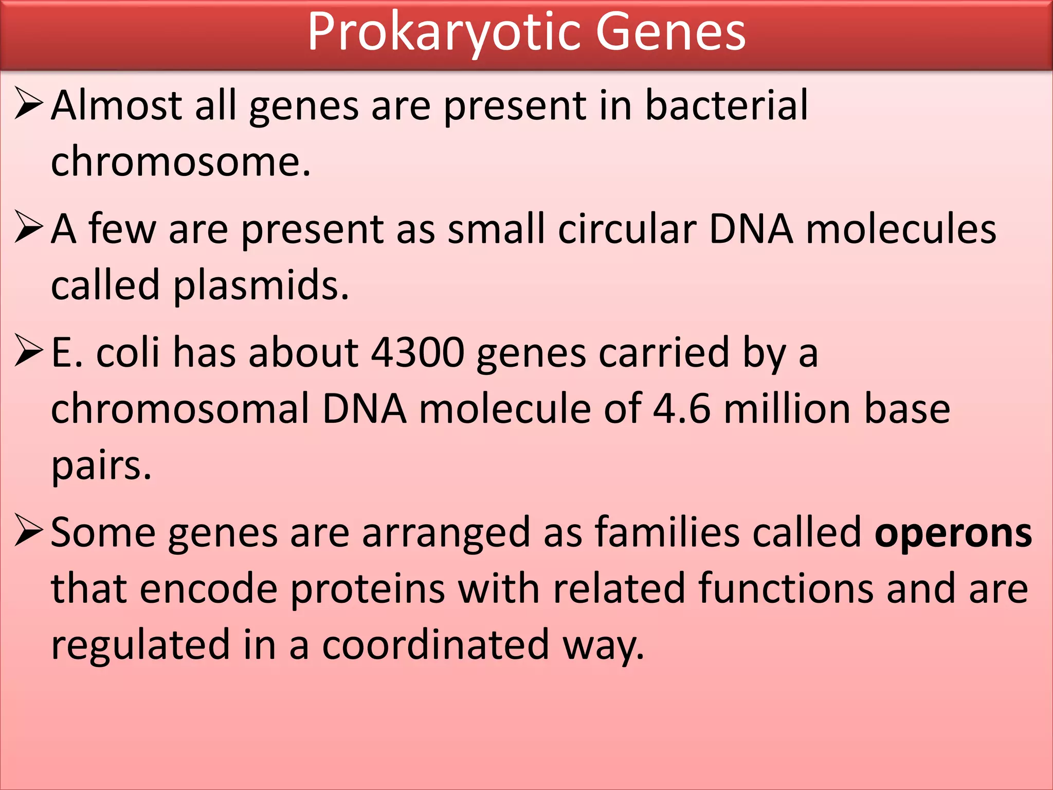 Genome organization in prokaryotes | PPTX