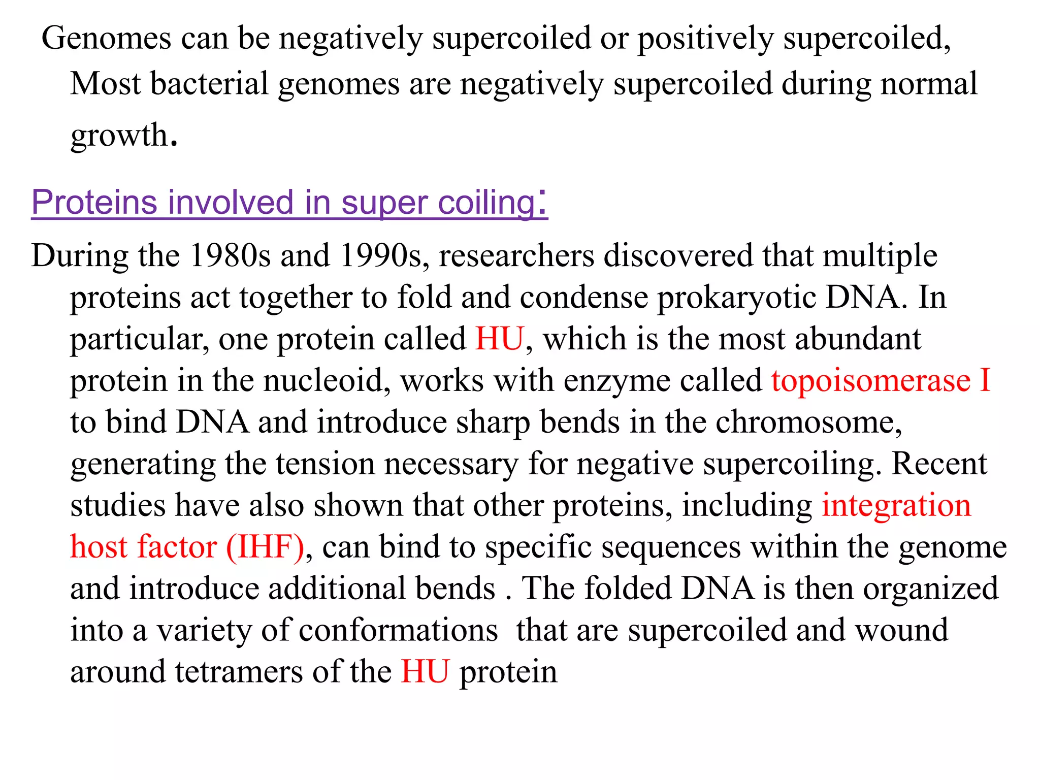 Genome organization in prokaryotes(molecular biology) | PPTX