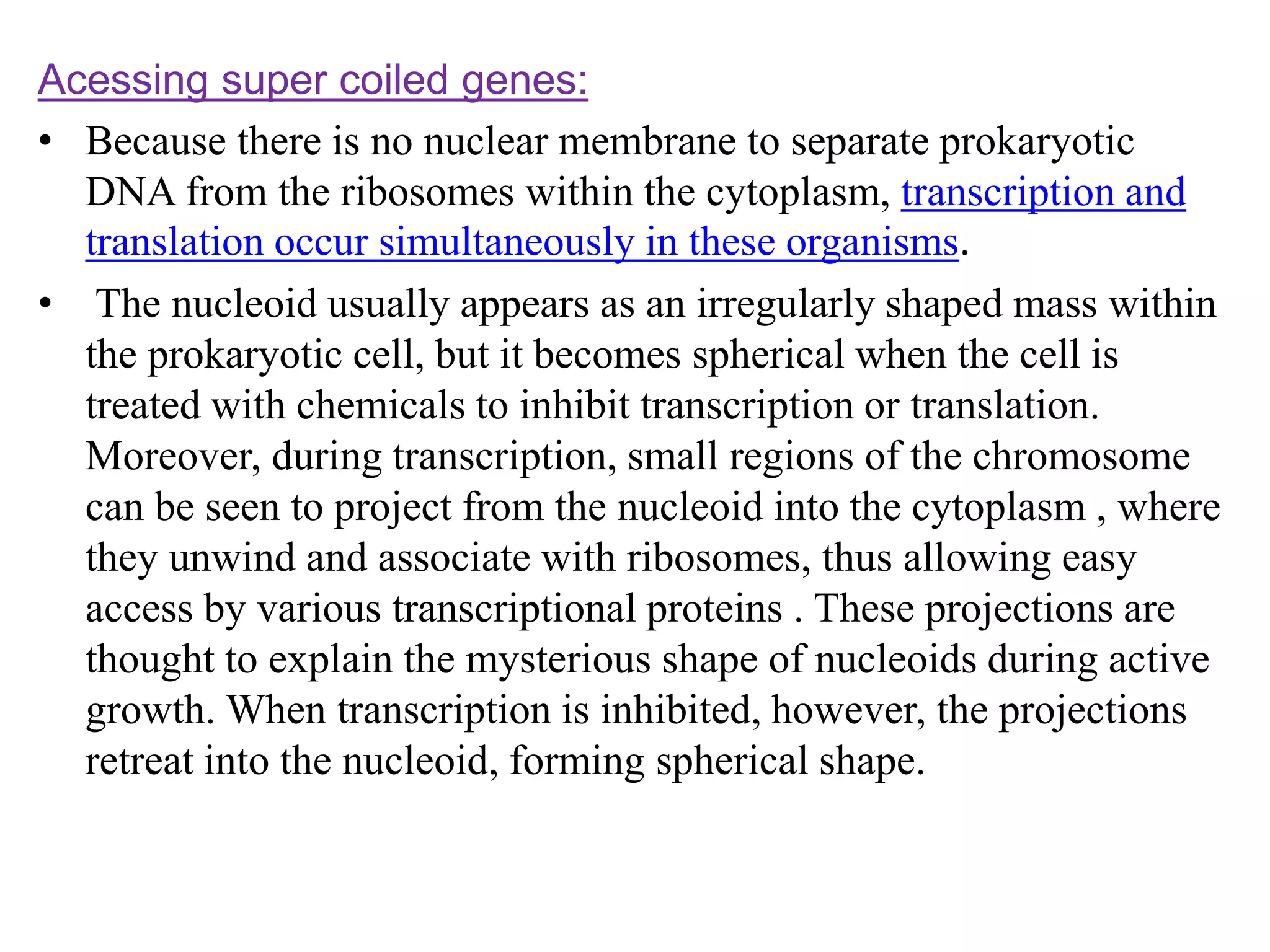Genome organization in prokaryotes(molecular biology) | PPTX