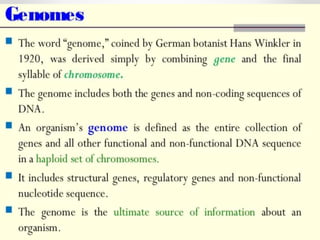 Genome organization of prokaryotes and eukaryotes | PPTX