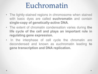 Genome organization of prokaryotes and eukaryotes | PPTX