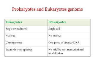 GENOME ORGANIZATION OF PROKARYOTES EUKARYOTES.ppt
