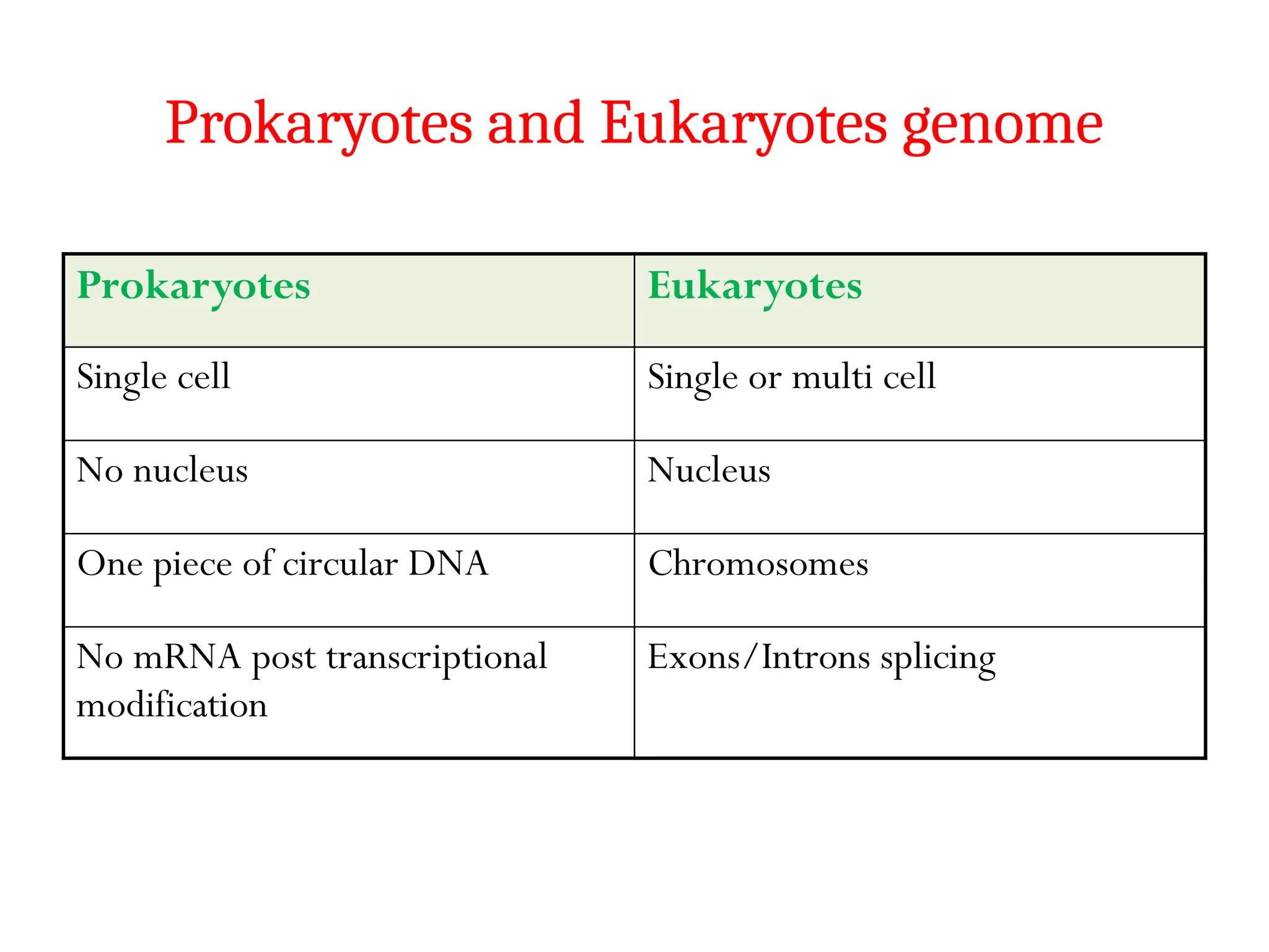 GENOME ORGANIZATION OF PROKARYOTES EUKARYOTES.pptx