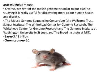 GENOME PROJECTS .pdf