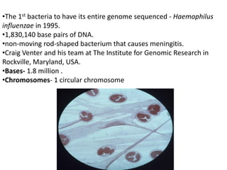 GENOME PROJECTS .pdf