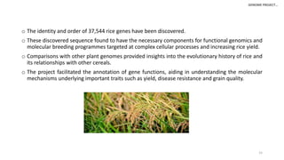Genome Projects : Human, Rice,Wheat,E coli and Arabidopsis. | PPTX