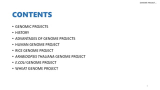 Genome Projects : Human, Rice,Wheat,E coli and Arabidopsis. | PPTX