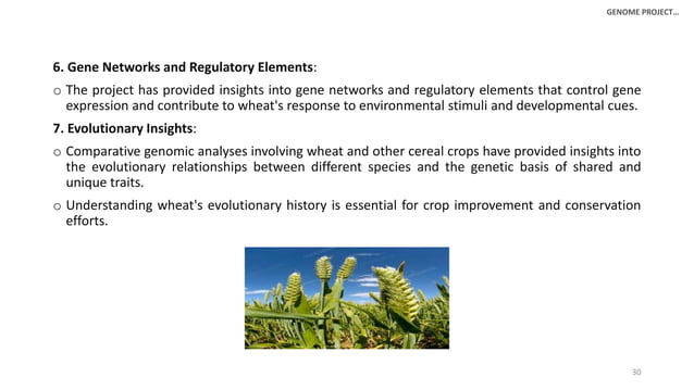 Genome Projects : Human, Rice,Wheat,E coli and Arabidopsis. | PPTX