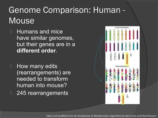 Genome rearrangment | PPT