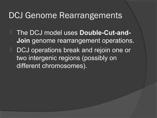 Genome rearrangment | PPT