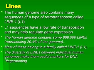 Genomes and Their Evolution detailed explanation | PPT