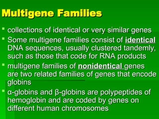 Genomes and Their Evolution detailed explanation | PPT