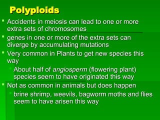 Genomes and Their Evolution detailed explanation | PPT