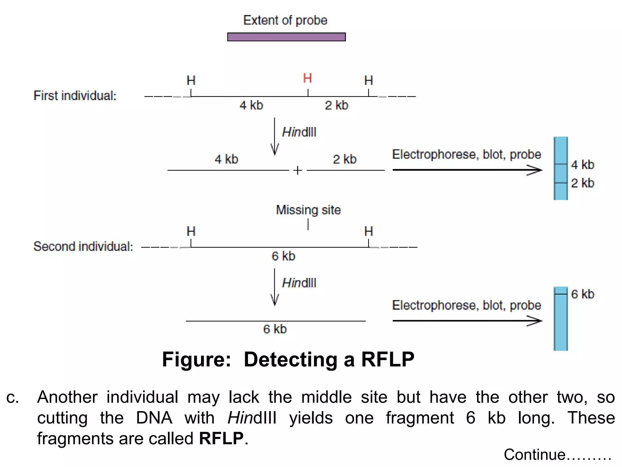Genome sequencing | PPT