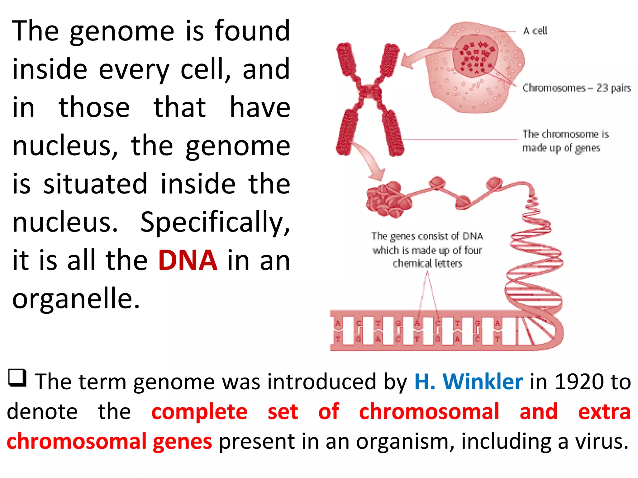 Genome sequencing | PPT