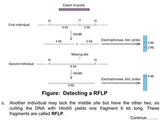 Genome sequencing | PPT