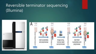 Genome sequencing | PPT