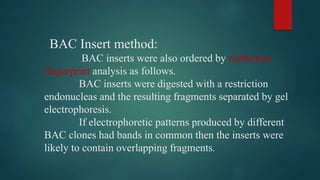 Genome sequencing | PPTX | Genetics | Science