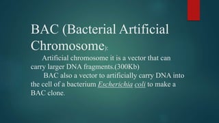 Genome sequencing | PPTX | Genetics | Science