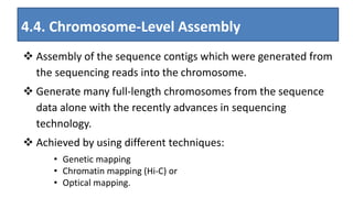 Genome sequencing. ppt.pptx