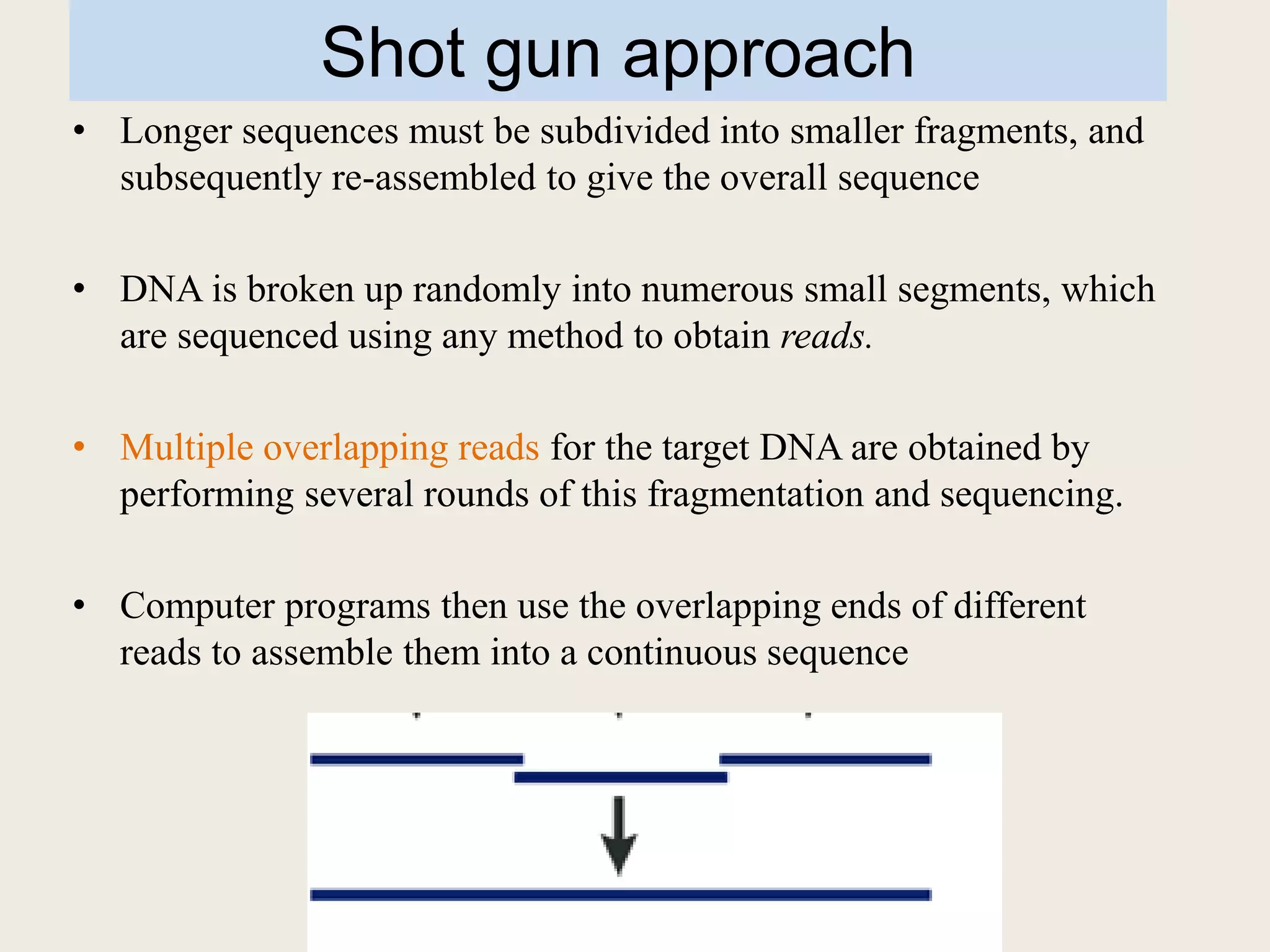 Genome sequencing in vegetable crops | PPTX