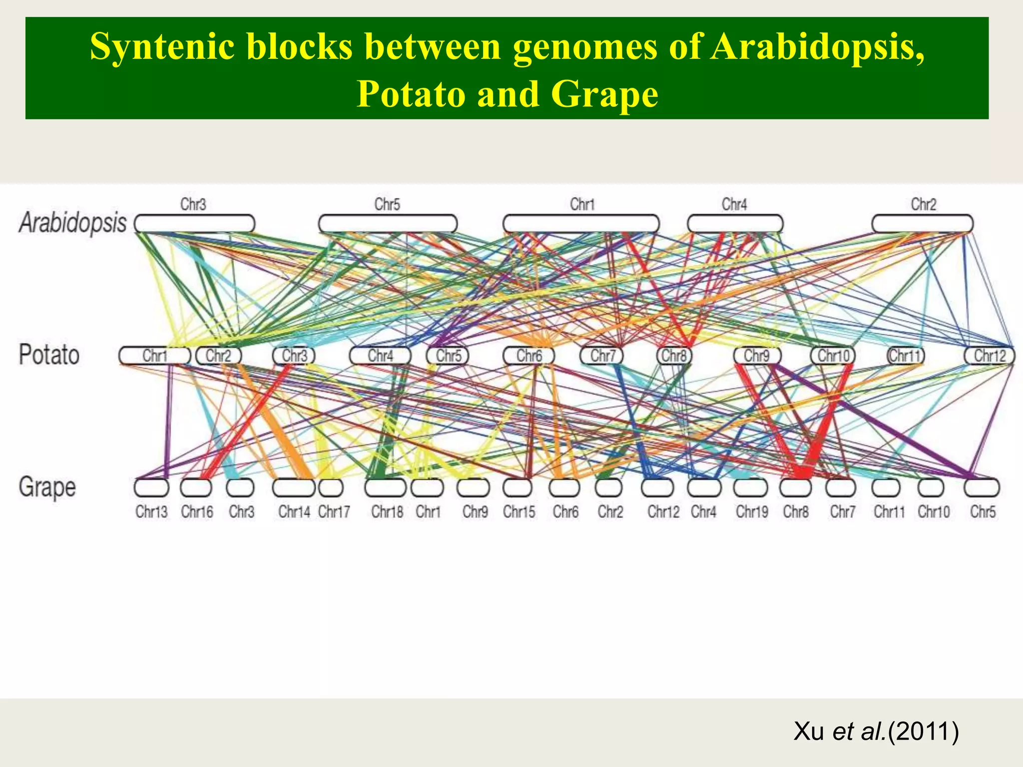 Genome sequencing in vegetable crops | PPT