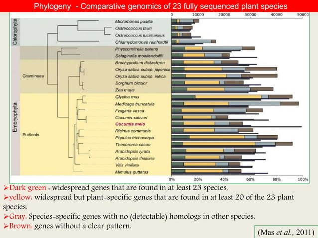 Genome sequencing in vegetable crops | PPTX | Biotech and Biomedical ...