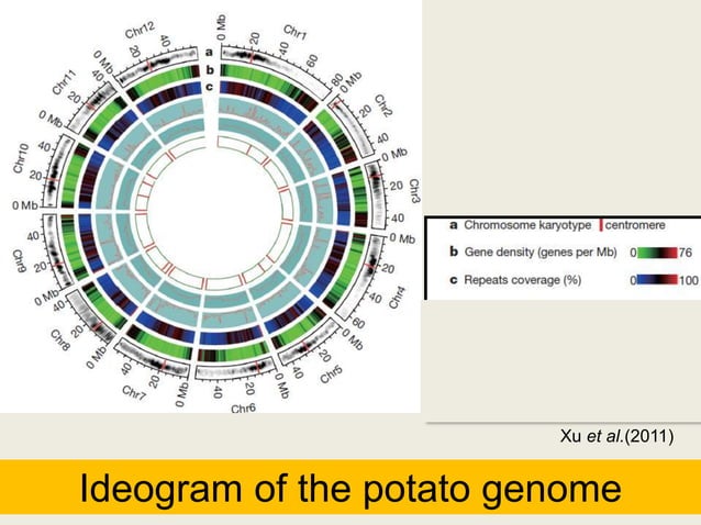 Genome sequencing in vegetable crops | PPTX | Biotech and Biomedical ...