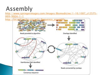 Genome sequencingprojects | PPT
