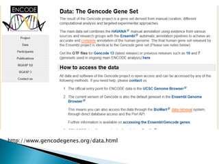 Genome sequencingprojects | PPT