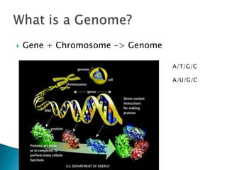 Genome sequencingprojects | PPT