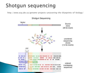 Genome sequencingprojects | PPT