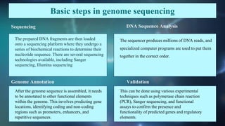 Genome sequencing,shotgun sequencing.pptx